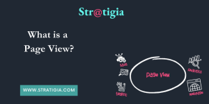 What is a Page View?